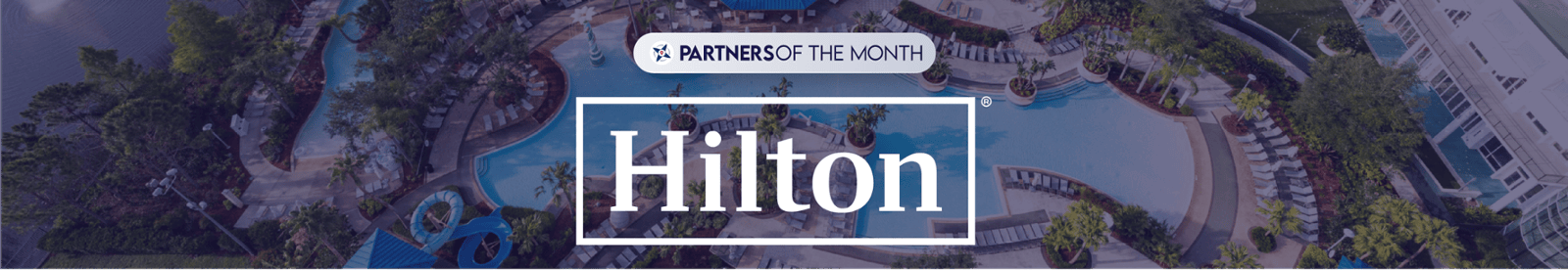 Partner of the Month